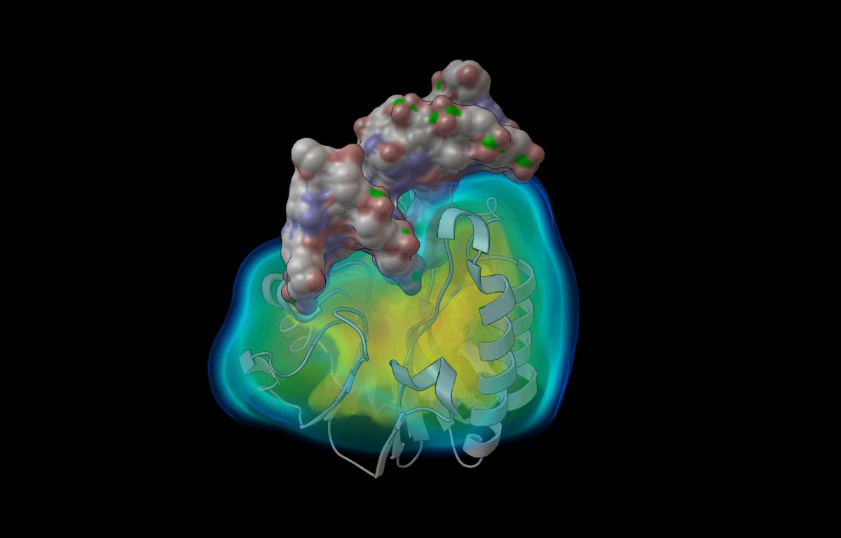 The Forli Lab – Molecular Modeling & Drug Discovery